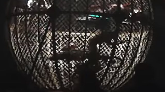 Video Impactante Accidente De Motos En El Globo De La Muerte Telefe